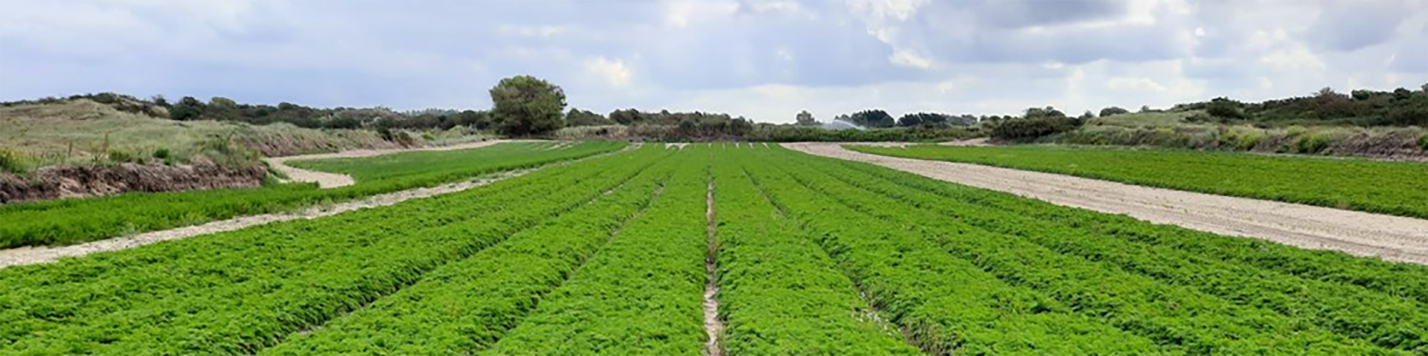 IOBC-WPRS Workshop 2023 - Program